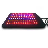 China Wearable Health Analyzer Machine Wrap Deep Penetrating Heals Lighting Pad Relief For Arthritis Joints for sale