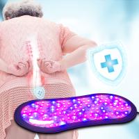 China Multi Functional Body Analyzer Machine 660nm 850nm Photon Therapy Pad Pain Relief for sale