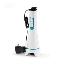 China Eco - Friendly Ozone Generator Machine Fruit And Vegetable Ozone Cleaner for sale