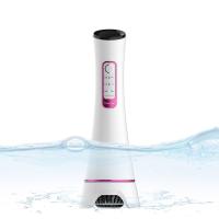 China Eco - Friendly Ozone Generator Machine Fruit And Vegetable Ozone Cleaner for sale