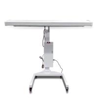 China 1350W 660nm 810nm Anti Aging Red Light Physical Therapy Equipments for sale