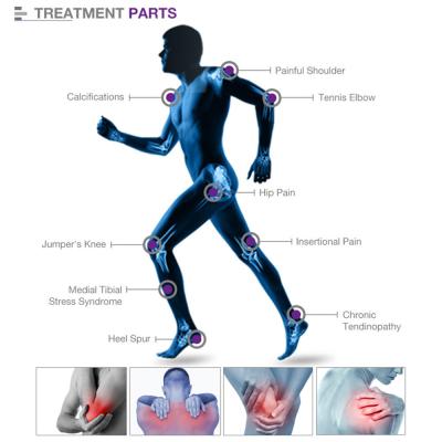 China ESWT Pneumatic Electromagnetic Shock Wave Therapy Machine 300W for sale