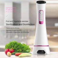 China 10W Ozone Ultrasonic Vegetable And Fruit Washer For Home Use for sale
