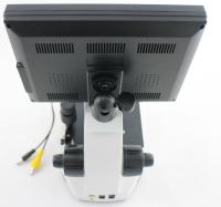 China Colour Clincial Blood Analysis Medical Microscope For Improving Human Body Health for sale