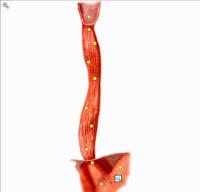 China Spectrum of Minerals And Gems Treatment Metatron Nls 4025 Hunter for Cardiovascular Testing Equipment for sale