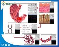 China Hunter 4025 NLS 8d lris nls bioresonance NLS for sale