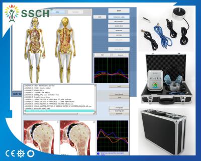China Bioresonance Therapy Health Analyzer Machine , Quantum Bio feedback for sale