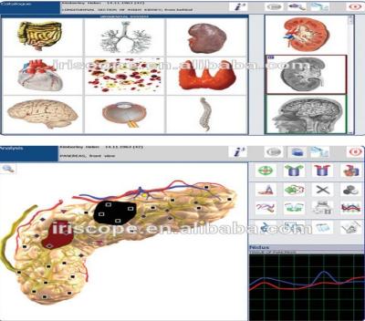 China Stable Faster Metapathia GR Hunter 4025 analyzer monitor life resonance intelligence for sale