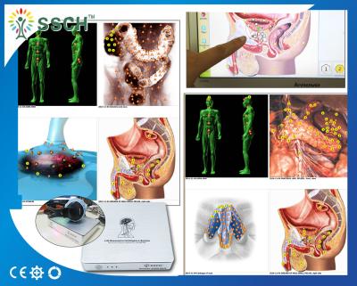China Body Analyzer Metatron NlS Hunter Version for sale
