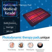 China Led Near Infrared Light Therapy Multi Wavelengths 810nm 660nm for sale