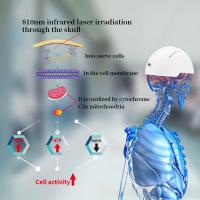 China Transcranial Magnetic Stimulation Equipment Treatment Depression RTMS for sale