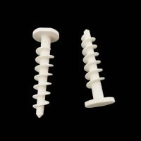 China High Temperature Resistant Aluminum Oxide Ceramic Screw for Anchor Fiber Flame Plating for sale