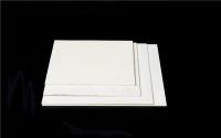 China High Performance Aluminum Oxide Ceramic 99% Al2o3 Plate With Good Heat Resistance for sale