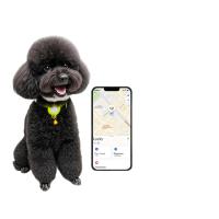 China GPS Smart Pet Collar – Waterproof, Real-Time Tracking, Long Battery Life, Wholesale OEM for Dogs & Cats for sale