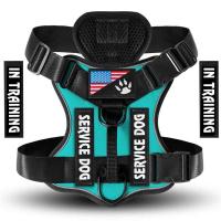 China Wholesale Dog Harness, Bulk No Pull Vest, OEM Private Label Custom Heavy Duty Adjustable Pet Harness for sale