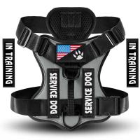 China Wholesale Dog Harness, Bulk No Pull Vest, OEM Private Label Custom Heavy Duty Adjustable Pet Harness for sale
