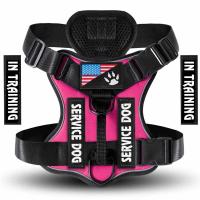 China Wholesale Dog Harness, Bulk No Pull Vest, OEM Private Label Custom Heavy Duty Adjustable Pet Harness for sale