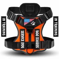 China Wholesale Dog Harness, Bulk No Pull Vest, OEM Private Label Custom Heavy Duty Adjustable Pet Harness for sale