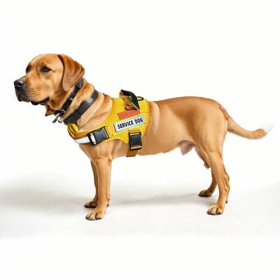 China Custom Dog Harness, Premium Nylon Breathable Pet Harness OEM ODM Wholesale For Global Business for sale