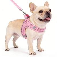 China Custom Logo Dog Harness Set, Adjustable Reflective Pet Vest Wholesale Bulk Goods for Small Medium Dogs for sale