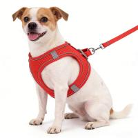 China Custom Logo Dog Harness Set, Adjustable Reflective Pet Vest Wholesale Bulk Goods for Small Medium Dogs for sale