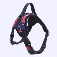 China Custom Private Label Dog Harness Wholesale Sturdy Handle Training Walking Pet Harness Bulk Shipment for sale