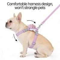China Pet Harness Set, Soft Breathable Walking Harness, Bulk Wholesale & Private Label for EU US Pet Retailers for sale