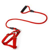 China Multi Size Safe Dog Harness Wear Resistant Harness Wholesale Supply For Pet Shop Inventory Purchase for sale