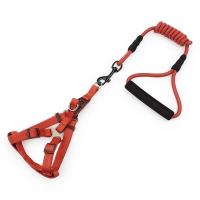 China Multi Size Safe Dog Harness Wear Resistant Harness Wholesale Supply For Pet Shop Inventory Purchase for sale