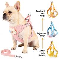 China Pet Harness Wholesale Adjustable Breathable Dog Harness Custom Logo For Small Medium Dog Bulk Supply for sale