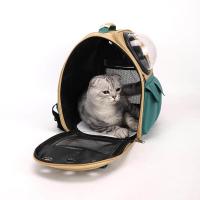 China Pet Harness Set, Soft Breathable Walking Harness, Bulk Wholesale & Private Label for EU US Pet Retailers for sale