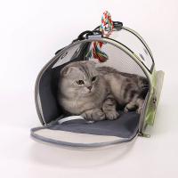 China Pet Backpack Carrier Bulk Mesh Large Opening Outdoor Hiking Cat Backpack Private Label Wholesale for sale
