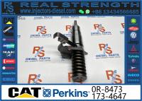 China Caterpillar original Machinery Parts Fuel Injector 127-8213 101-8673 0R-8473 Compatible with Caterpillar CAT 3114 3116 Engine Excavator Parts original new injector for sale