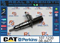 China Caterpillar original Genuine C15 3114 3116 Injector Fuel 101-8673 107-1230 107-7733 diesel Fuel Injector Pump for Caterpillar diesel Engine Fuel Pump original new injector for sale