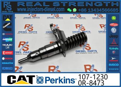 China Caterpillar original Genuine C15 3114 3116 Injector Fuel 101-8673 107-1230 107-7733 diesel Fuel Injector Pump for Caterpillar diesel Engine Fuel Pump original new injector for sale