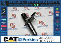 China Caterpillar original 418-8820 4P-2995 Common Rail Fuel Injector For Cater pillar CAT3114/3116 Diesel Engine Parts For Rail Injector 20R-4179 OR-8471 original new injector for sale