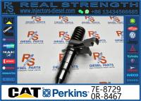 China Caterpillar original 127-8228 0R-8465 4P-2233 7E-8729 Diesel Engine Fuel Injector For Caterpillar CAT 3116 200B 320B 322B 325B 446B Excavator Truck original new injector for sale