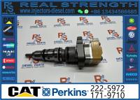 China Caterpillar original 3126B/3126E HEUI 198-6605 222-5968 Diesel Fuel Injector 222-5972 10R-1306 10R-9239 0R-9350 197-7107 Excavator Engine Parts original new injector for sale