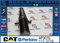 China Caterpillar original 3508 3512 3516 994 Fuel Injector 4P9076 0R-2921 3512 4P-9015 6I-4355 for Cat Spares Excavator Accessories diesel Injector Pump original new injector for sale