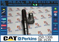 China Caterpillar original Hot-selling New Diesel Injector 250-1306 (Common Rail) Iron Material General Fit 1 Year Warranty Made in Jiangsu China original new injector for sale