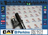 China Caterpillar original Fuel Injectors for 250-1306 250-1308 250-1312 392-6214 Diesel Engines OEM Brand 3-Month Warranty Heavy Construction Machinery original new injector for sale