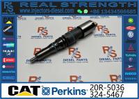 China Caterpillar original 4563493 20R5036 456-3493 20R-5036 for C9.3 Original Common Rail Fuel Injector Diesel Engine with 1 Year Warranty original new injector for sale