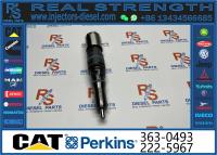 China Caterpillar original Excavator diesel Fuel Injector 363-0493 367-4293 20r-5036 456-3493 for cat 336e Injecto 3630493 3674293 20r5036 4563493 original new injector for sale