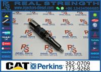 China Caterpillar original New Fuel Injector 456-3509 4563509 20R-5075 3861809 386-1809 382-0709 4563493 456-3493 for Caterpillar Caterpillar C9.3 D6T D7E original new injector for sale