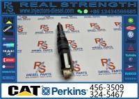 China Caterpillar original 456-3509 20R-5075 Diesel Common Rail Injector for Construction Machinery Parts.Suitable for C9.3 Engine,D6T D7E Bulldozers original new injector for sale