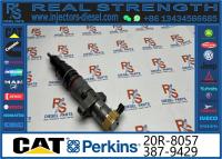 China Caterpillar original Factory Price 238-8091 241-3238 241-3239 243-4502 295-1408 387-9430 20R-8057 243-4503 20R-8058 Injector original new injector for sale