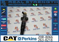 China Caterpillar original Excavator Fuel Injector 243-4502 236-0973 328-2583 295-1408 20r-8066 20r8066 for Caterpillar C7 Injectors original new injector for sale