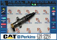 China Caterpillar original Diesel Injector 387-9427 263-8216 263-8218 236-0962 10r-7221 for cat E324D 325D 326D2 E329d 330D 336d2 336D2L C7 C9 Engine Parts original new injector for sale