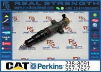China Caterpillar original 238-8091 243-4503 20R-8058 387-9428 20R-8059 268-9577 328-2586 Diesel Engine Fuel Injector For Caterpillar Excavator CAT C7 original new injector for sale