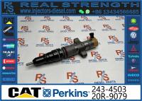 China Caterpillar original 238-8091 243-4503 20R-8058 387-9428 20R-8059 268-9577 328-2586 Diesel Engine Fuel Injector For Caterpillar Excavator CAT C7 original new injector for sale